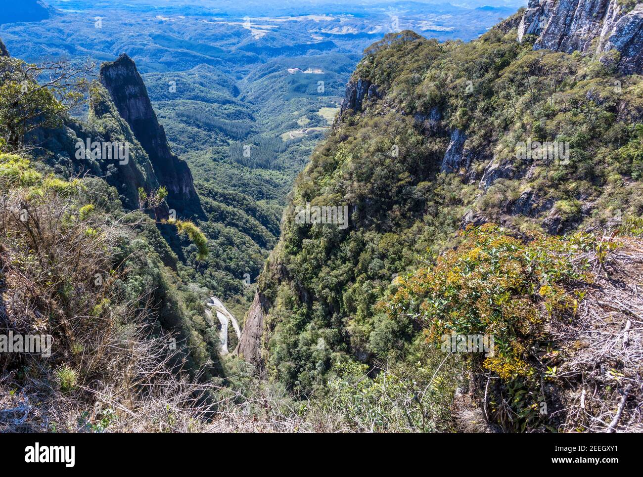 Mountainous landscape with forests in Brazil Stock Photo - Alamy