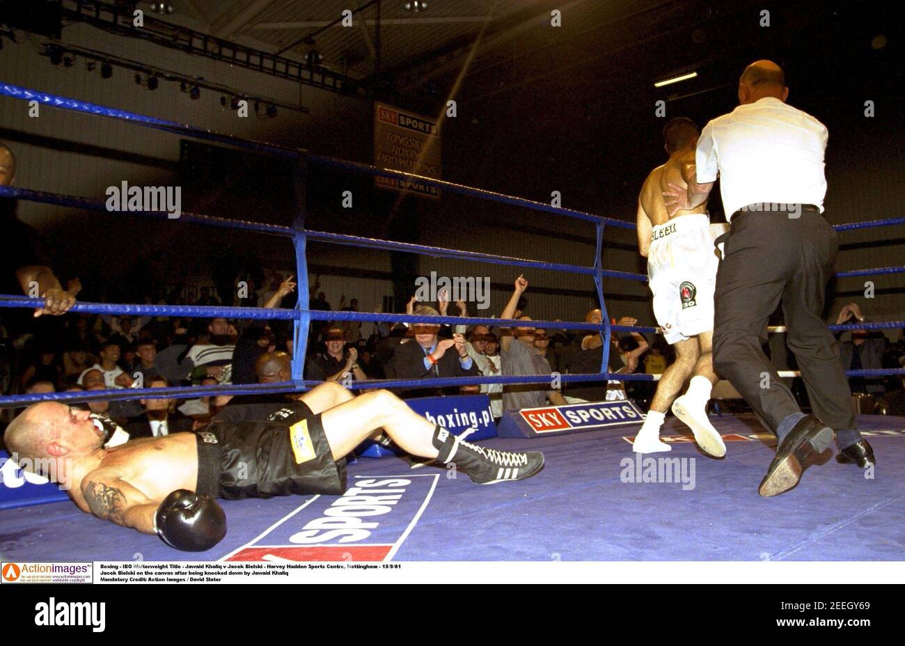 Sport boxing on canvas action down hi-res stock photography and images - Alamy