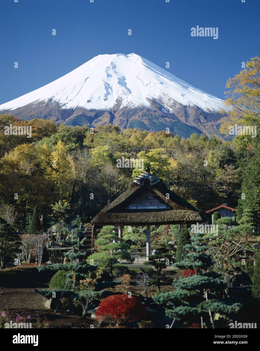 Japan, Honshu, Yamanashi Prefecture, Snow-capped Mount Fuji and ...