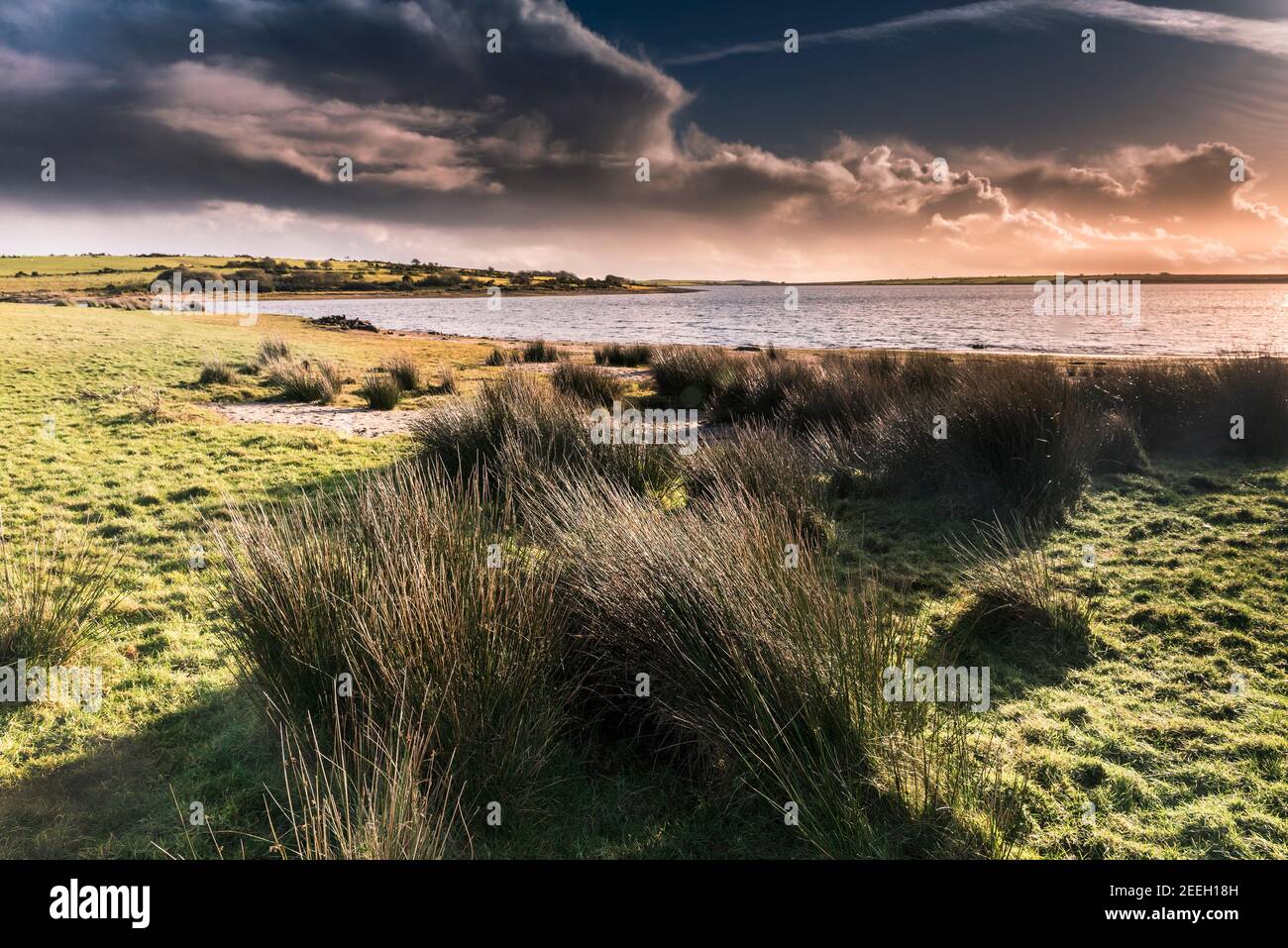 Colliford lake on bodmin moor in cornwall hi-res stock photography and ...