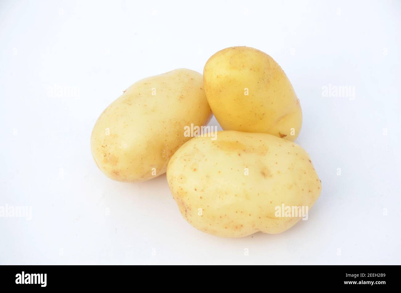 Yellow ripe potato isolated on white background Stock Photo - Alamy