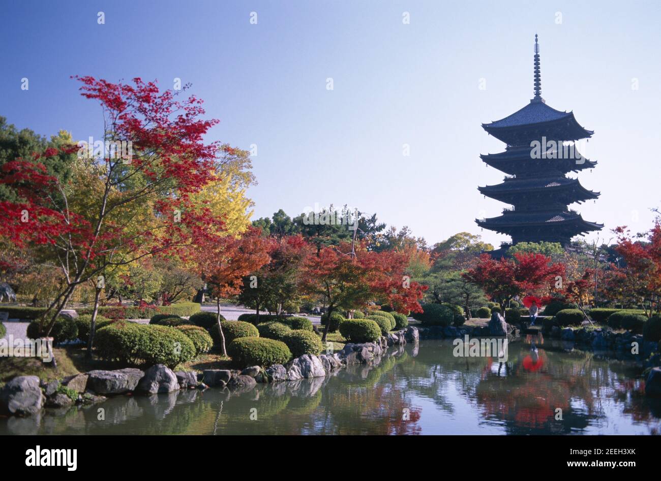 Five storey pagoda of toji temple hi-res stock photography and images ...