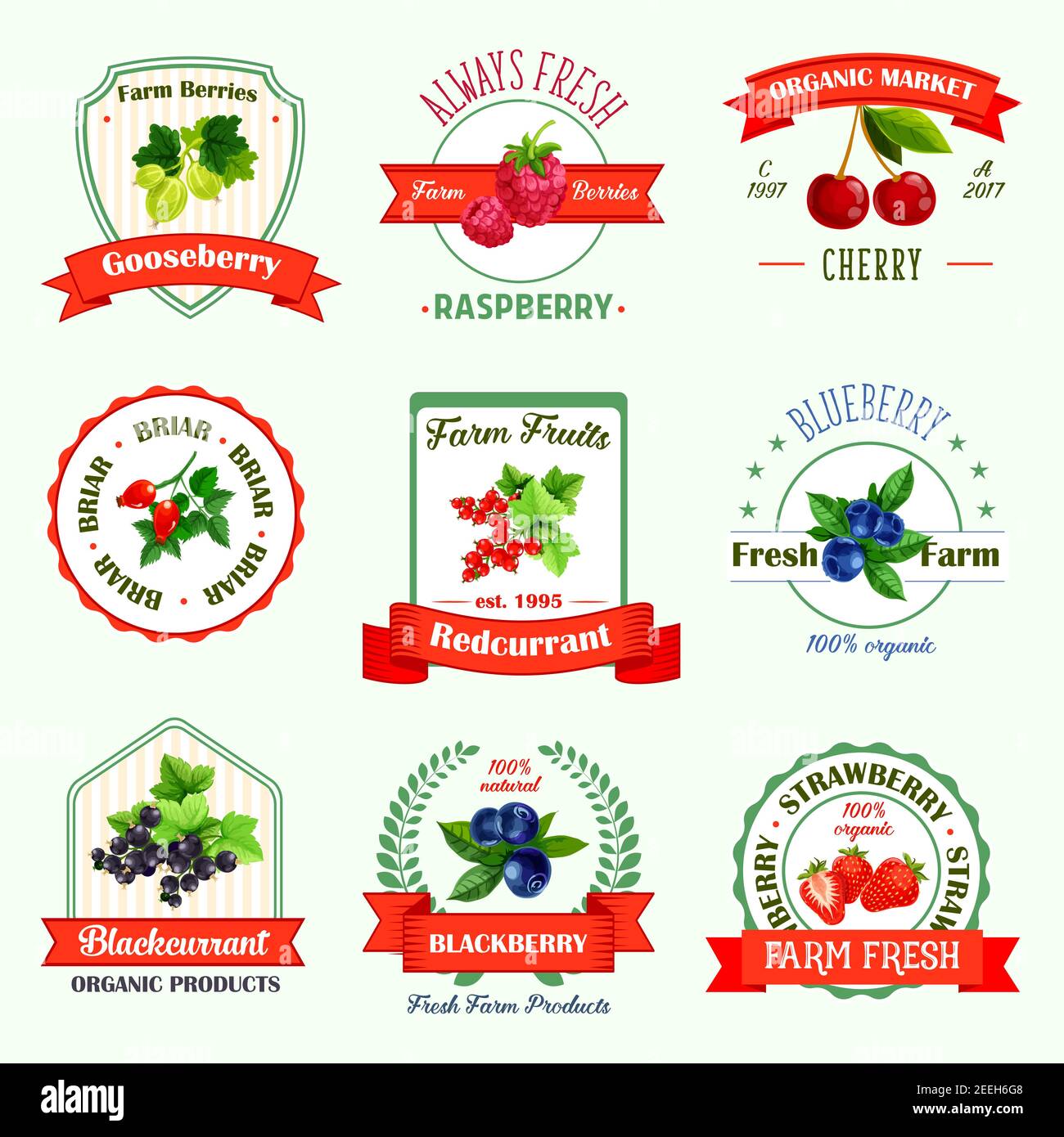 Huckleberry vector vectors hi-res stock photography and images - Alamy