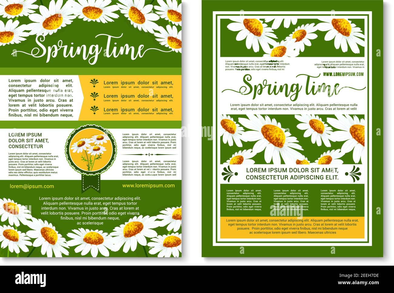 Spring floral poster template. Spring flowers of white daisy with green ...