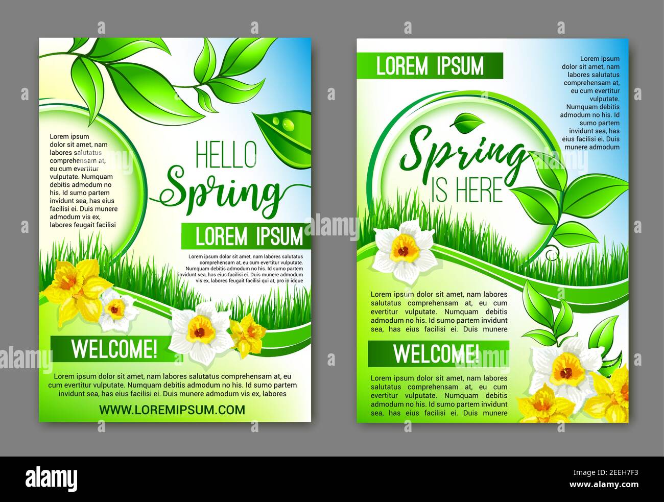 Welcome Spring vector posters with yellow daffodils and white narcissus ...