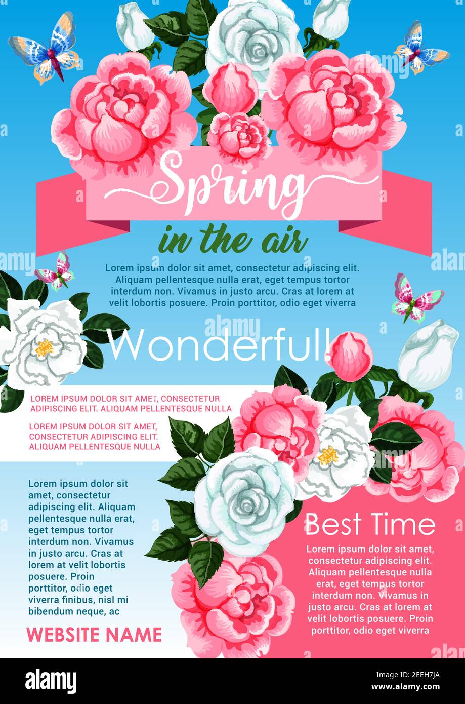 Spring flower wreath greeting poster template. White rose and pink ...