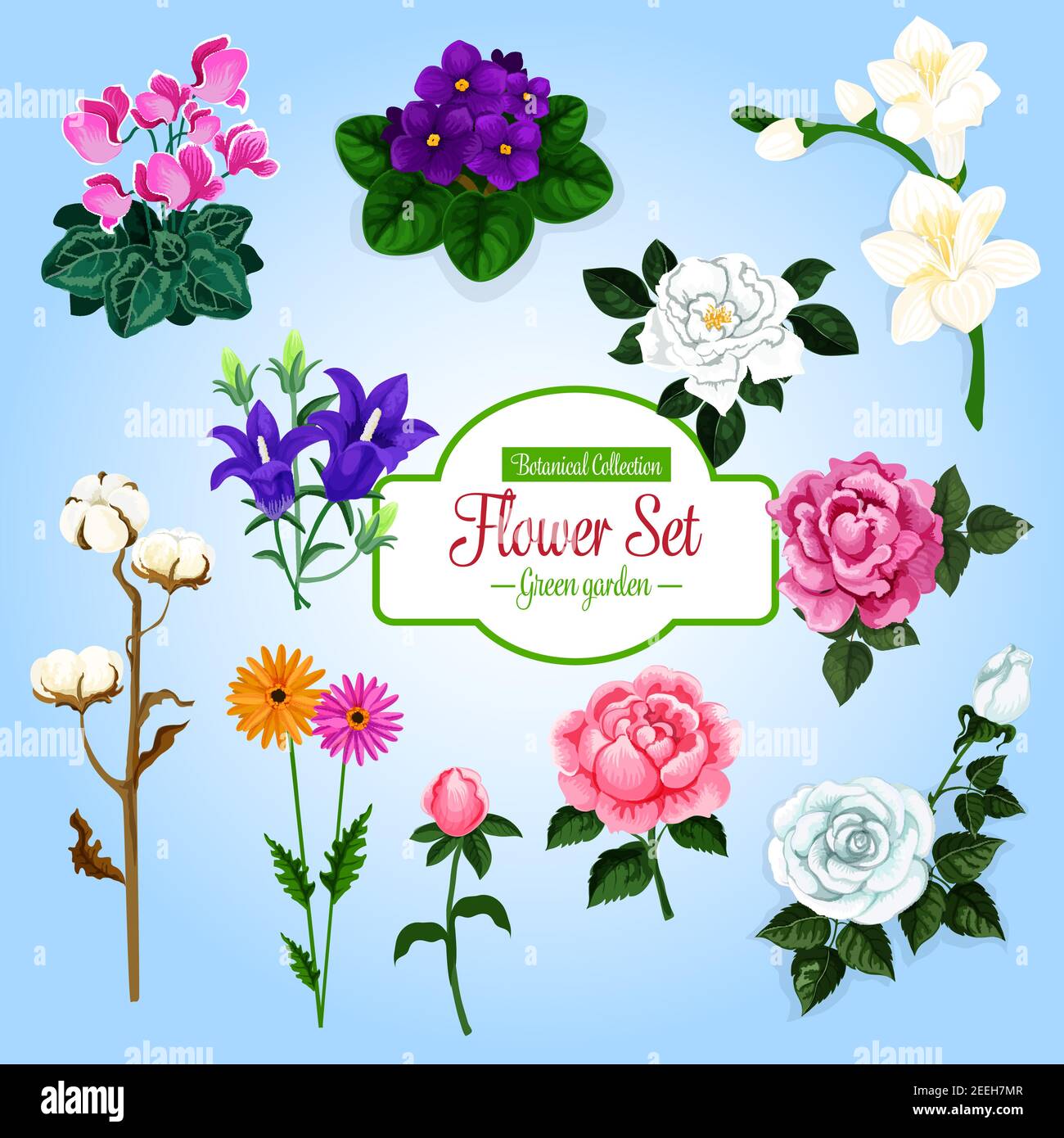 Flower set. Rose, daisy, tea rose, peony, lily, violet, bell flower, cyclamen and cotton flower ...
