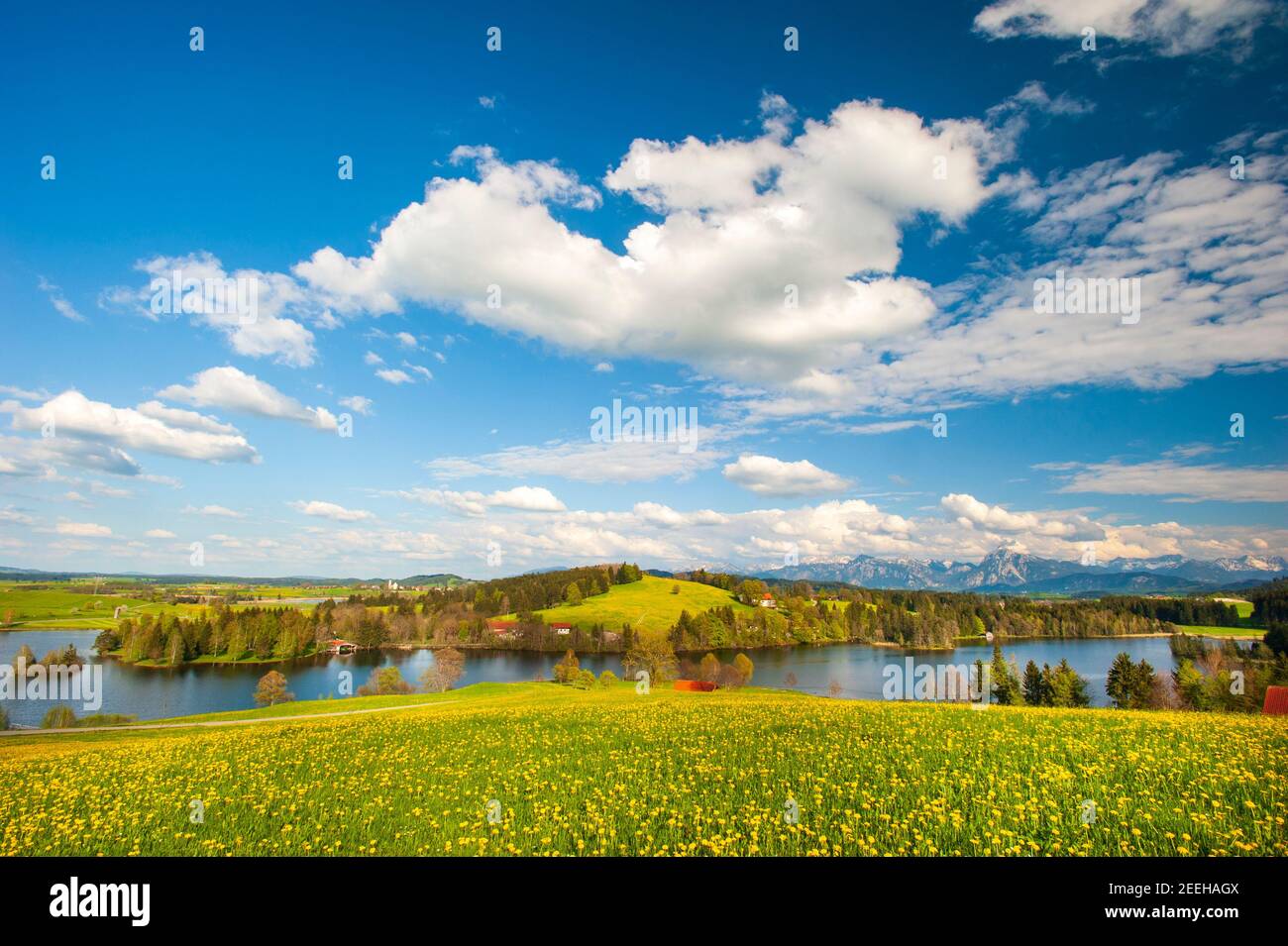 Allgäu landschaft sommer hi-res stock photography and images - Alamy