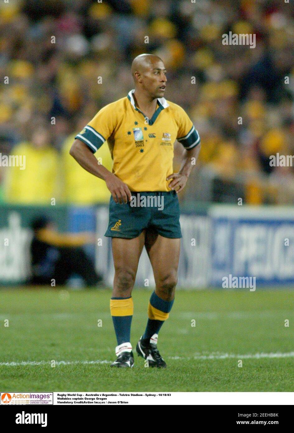 George gregan wallabies hi-res stock photography and images - Alamy