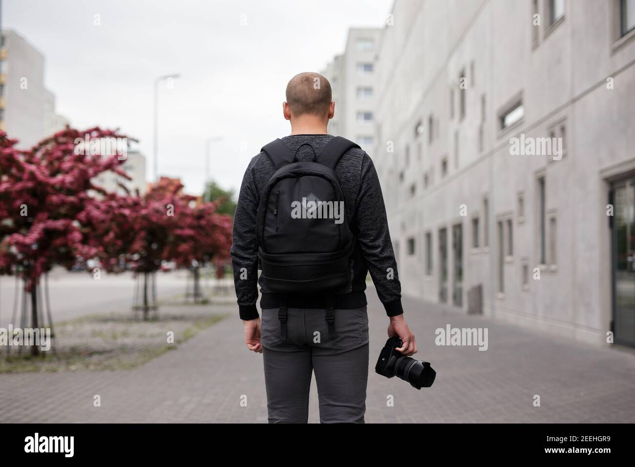 photography and creativity concept - back view of male photographer ...