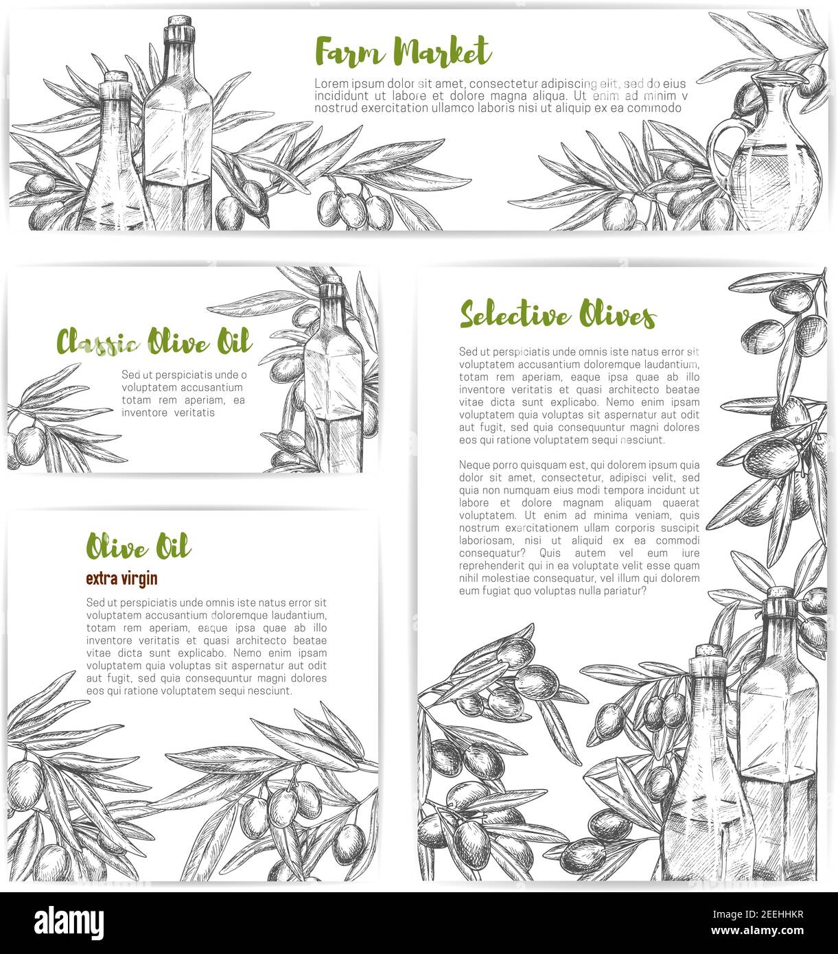 Olive oil sketch banners and posters set of green and black olives ...