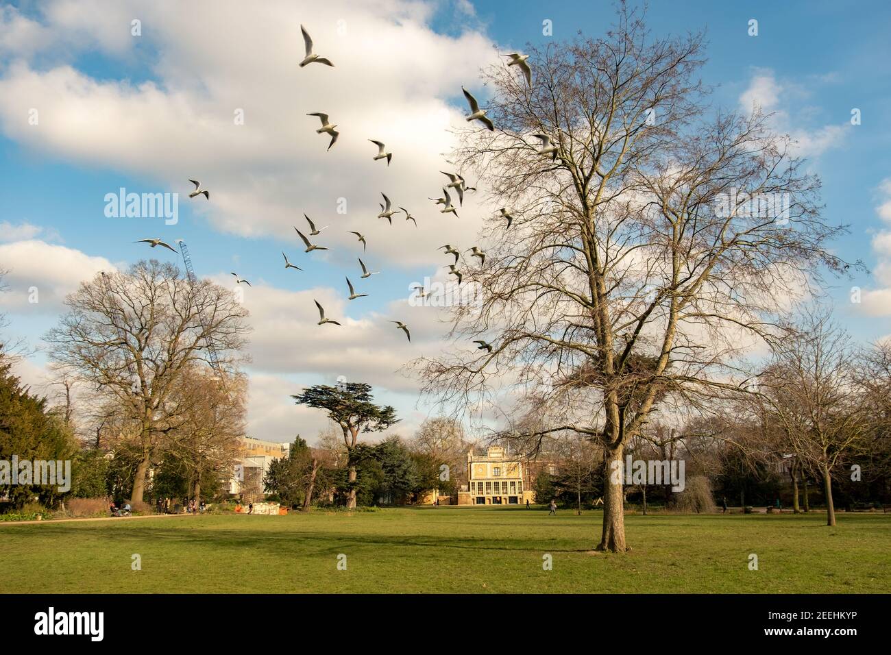 London- Walpole Park, a large public open park space by Pitzhanger ...