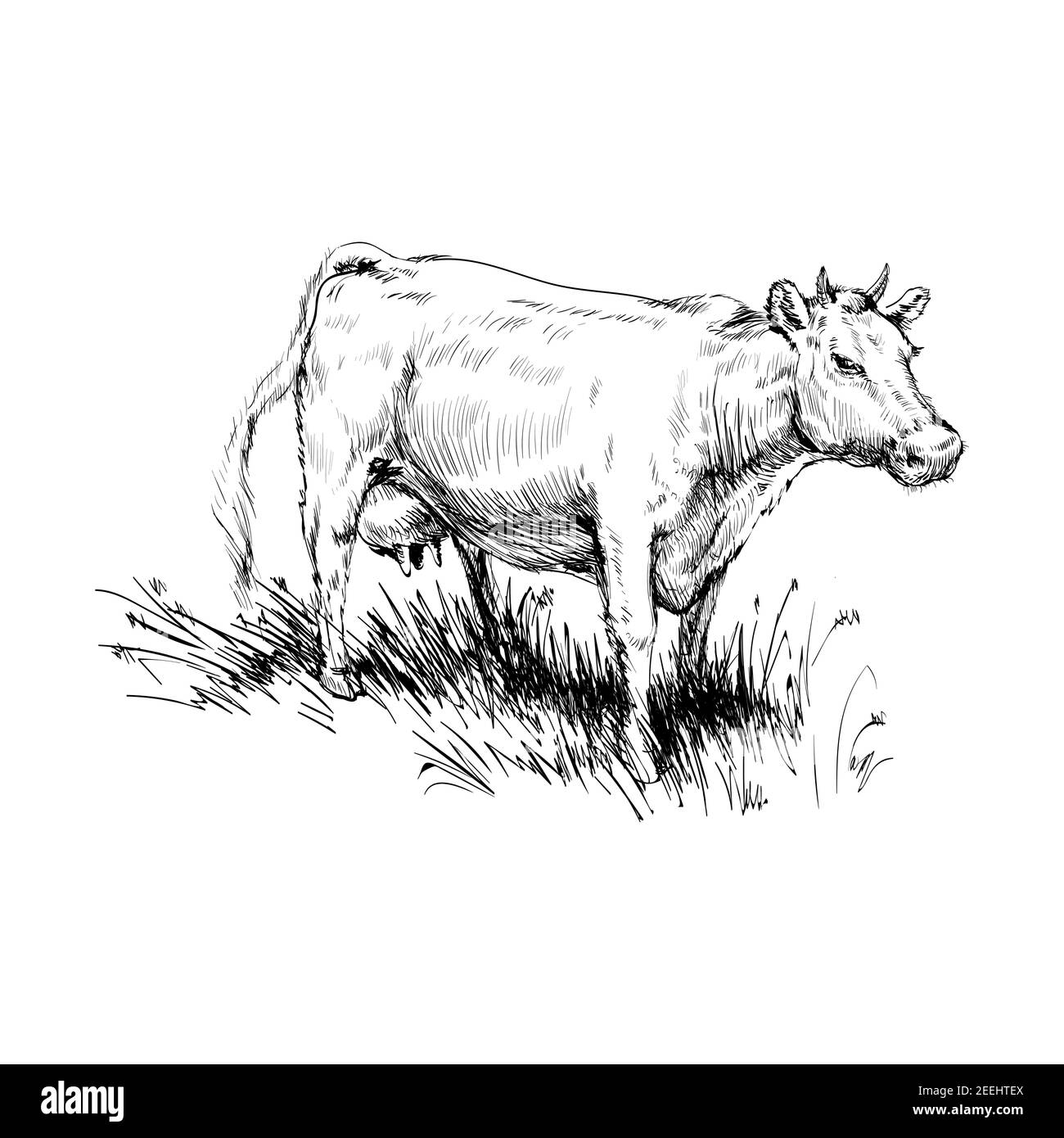 Grazing muzzle Stock Vector Images - Alamy