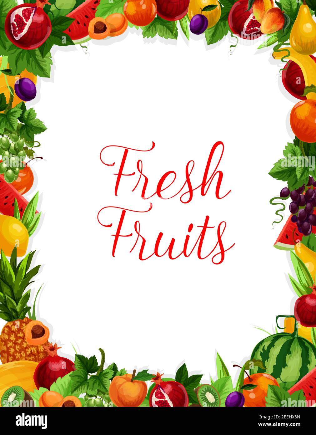 Whole pomegranate vector vectors hi-res stock photography and images ...