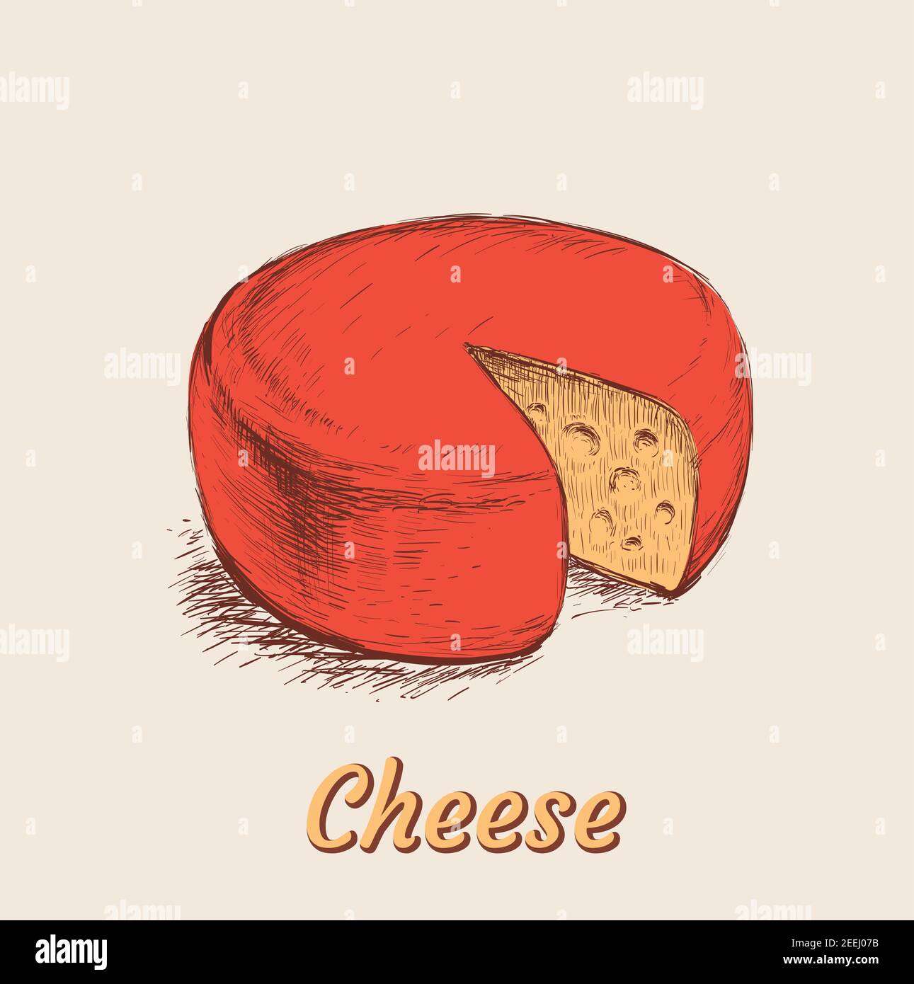 Head of Cheese Hand Drawn Vector Illustration Head of Cheese Hand Drawn ...