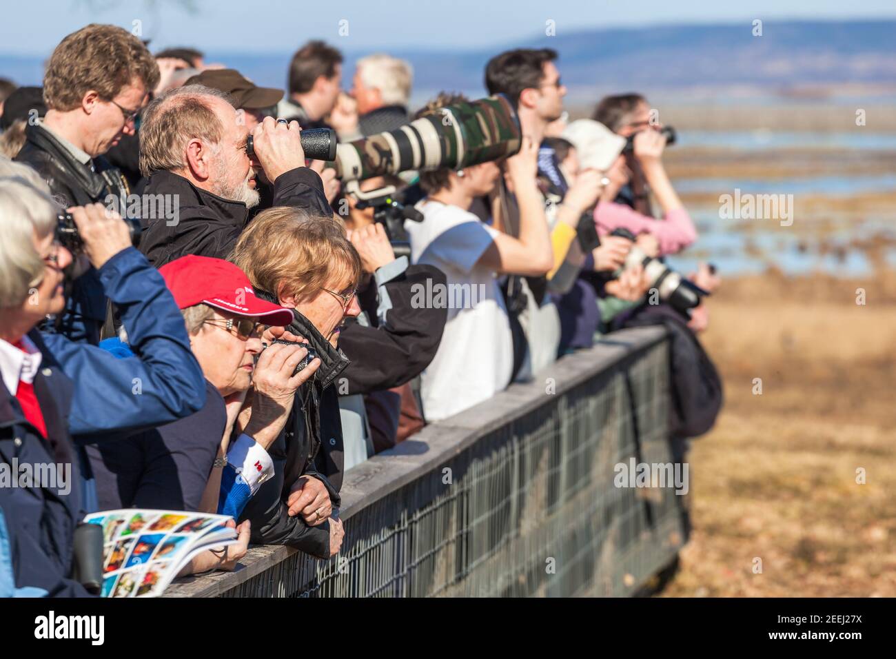 Female photographer birding bird watching hi-res stock photography and ...