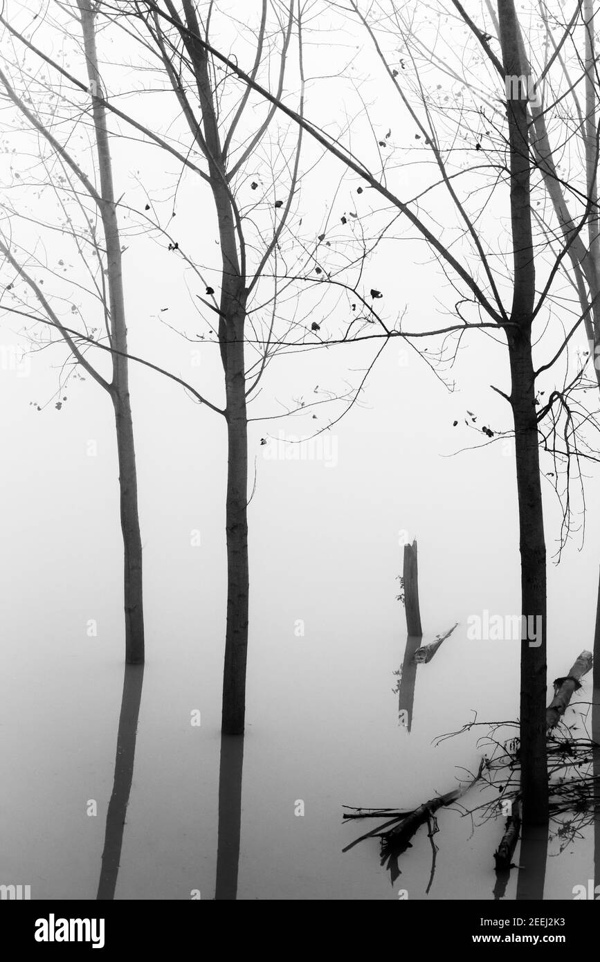 In po Black and White Stock Photos & Images - Alamy