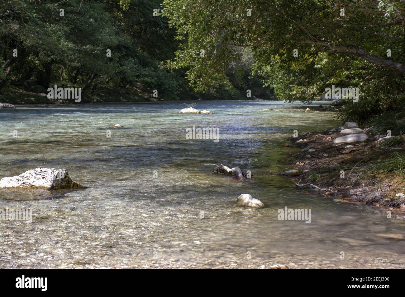 Blue water river surrounded by trees in a park Stock Photo - Alamy