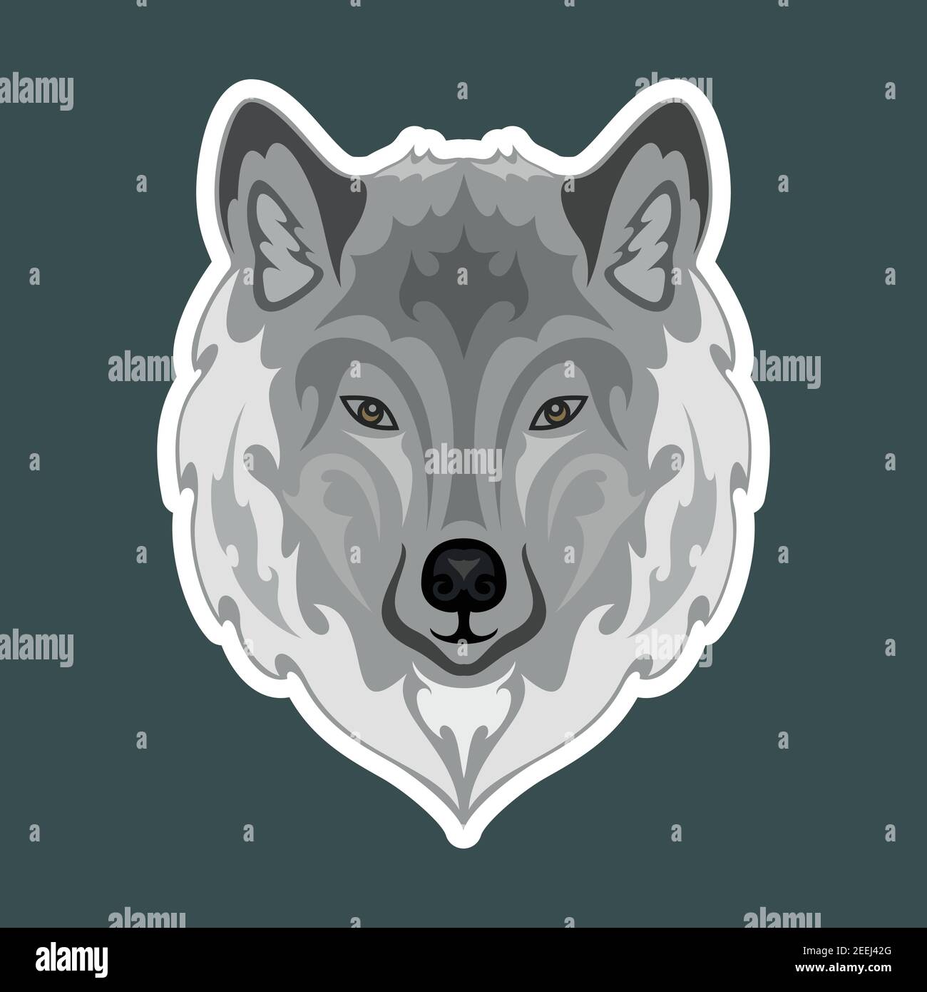 Grey wolf close up Stock Vector Images - Alamy