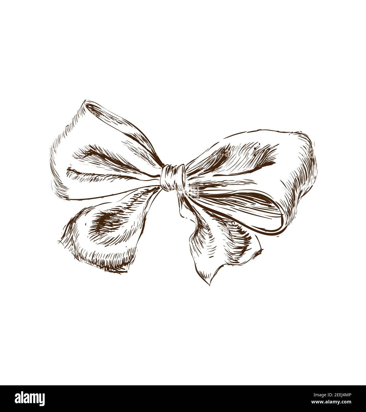 Bow Hand Drawn Vector Illustration Stock Vector Image & Art - Alamy