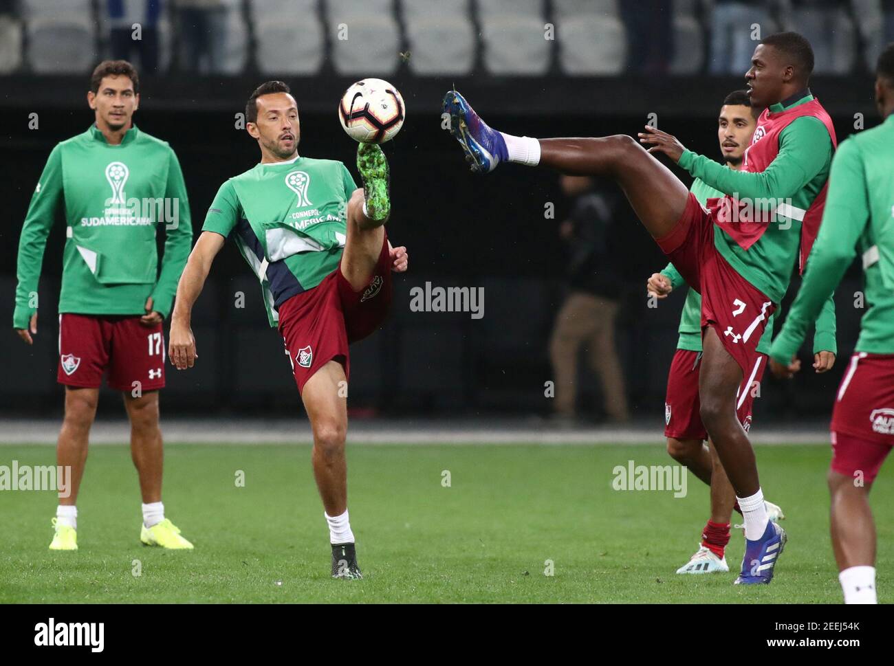 Fluminenses nene hi-res stock photography and images - Alamy