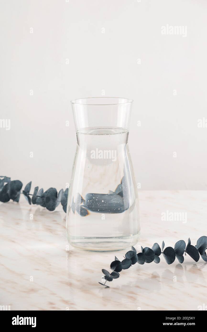 Modern water decanter with eucalyptus branches in minimalism style ...