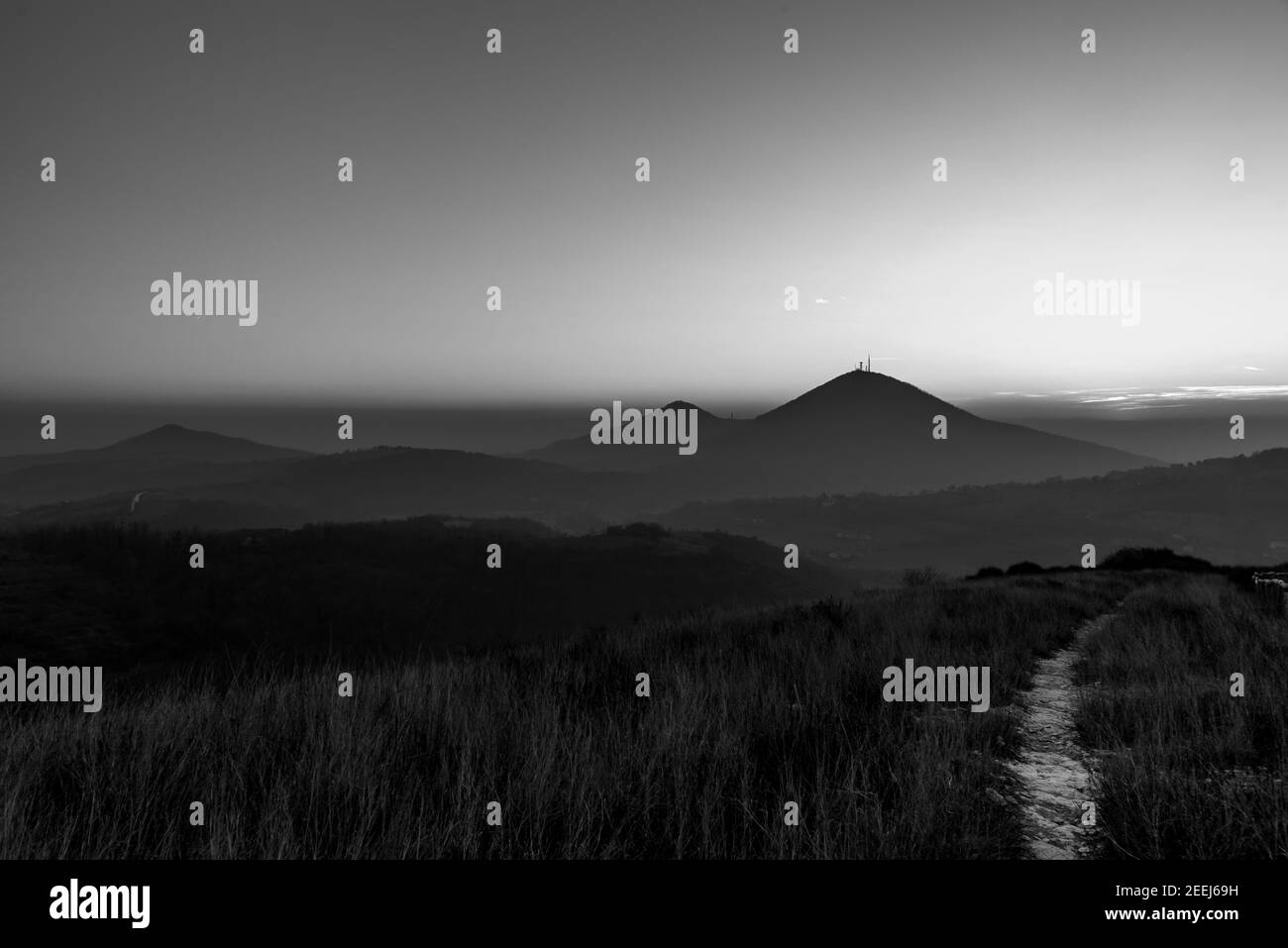 Colli Black and White Stock Photos & Images - Alamy