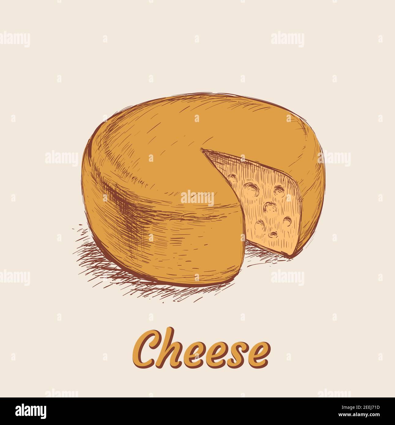 Head of Cheese Hand Drawn Vector Illustration Head of Cheese Hand Drawn ...