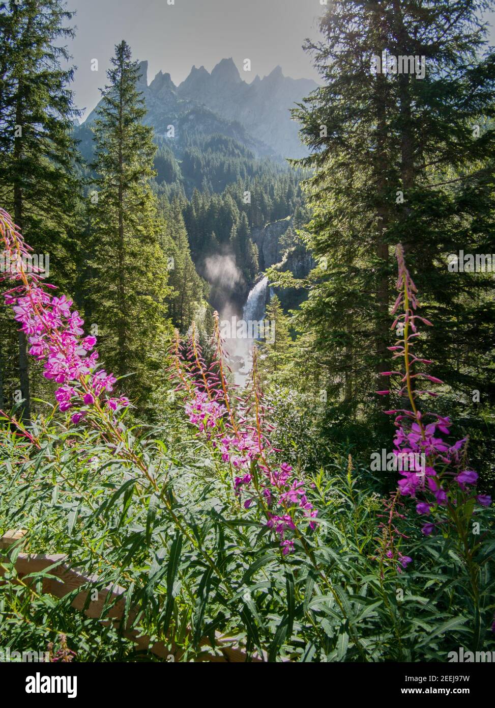 Amazing view of the beautiful and unique Reichenbach Fall in spring ...
