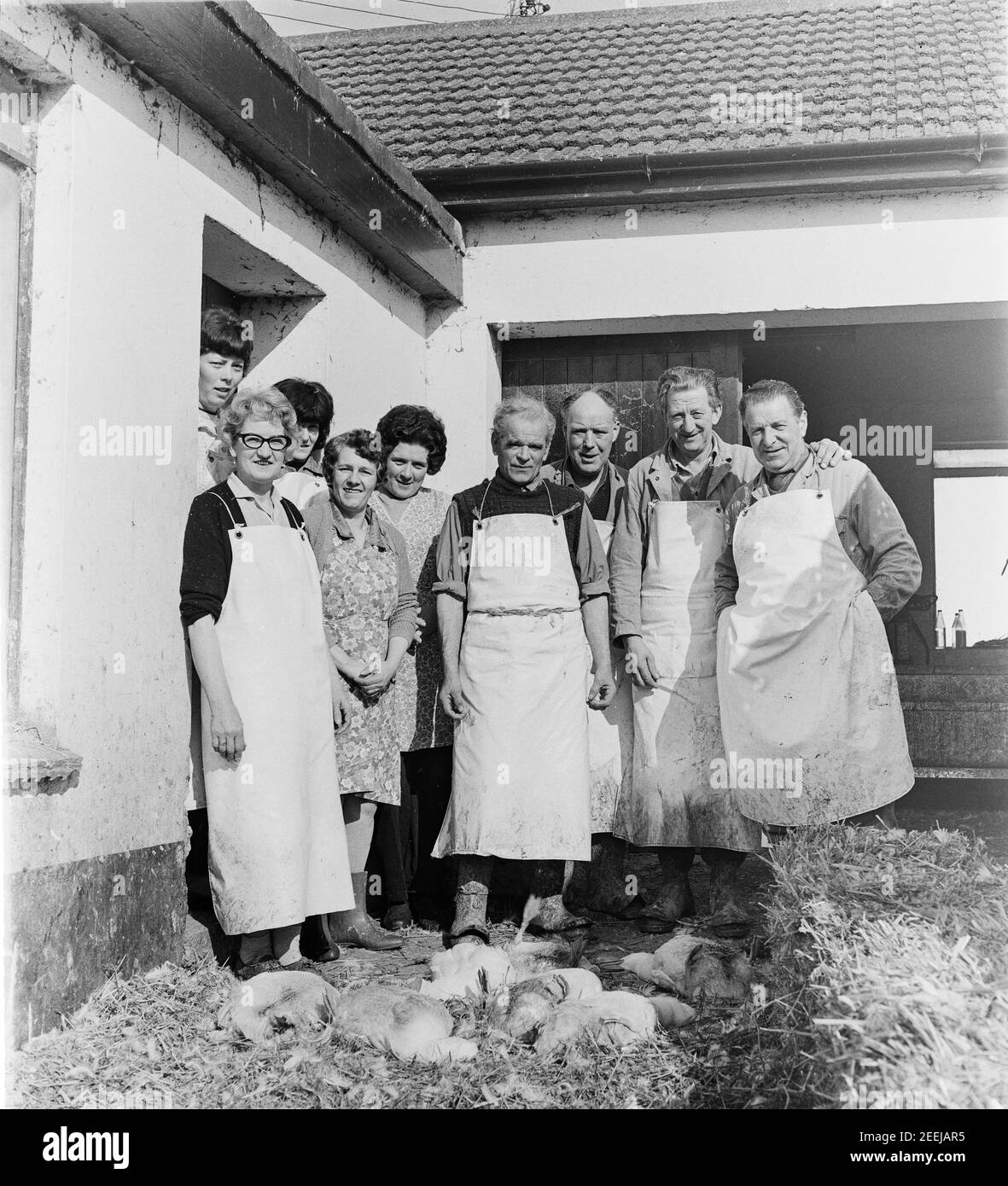 Group farm workers hi-res stock photography and images - Alamy