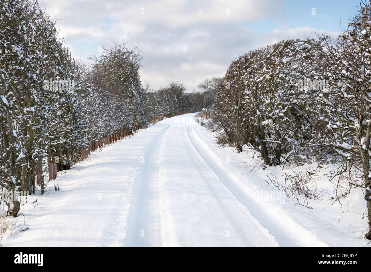 The borders winter scene in the scottish borders tourism hi-res stock ...