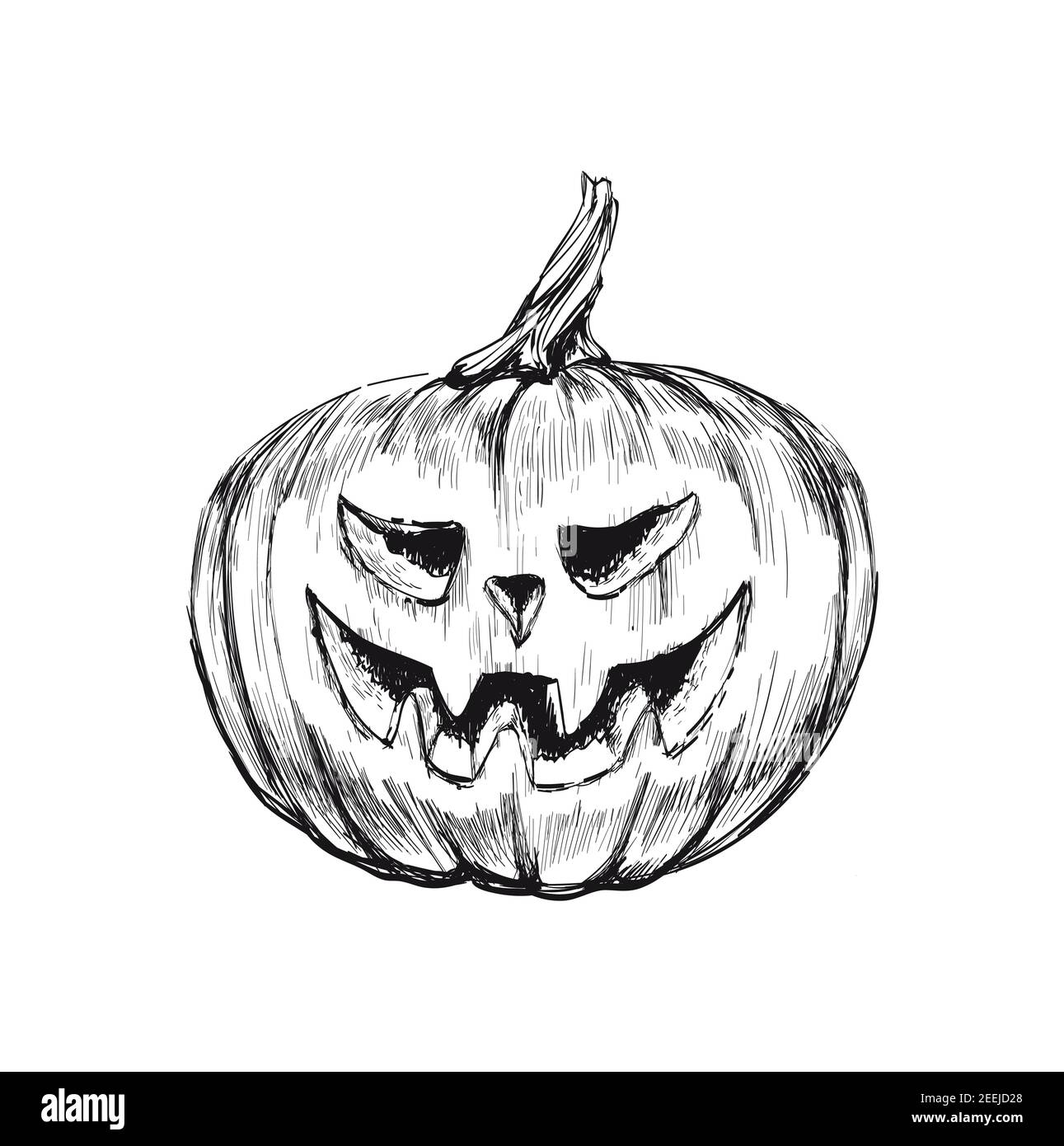 Halloween Pumpkin Hand Drawing Vector Illustration. Pumpkin Hand ...