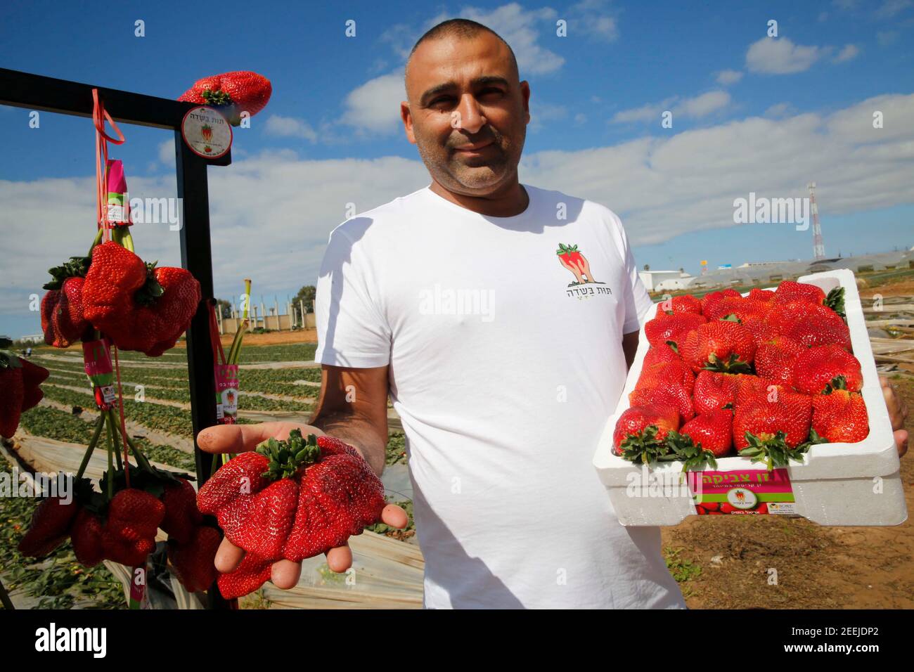 Netanya. 15th Feb, 2021. Israeli agriculturist Tzachi Ariel shows a ...