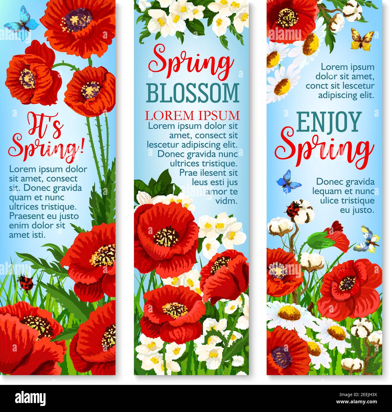 Daisy flower butterfly on Stock Vector Images - Alamy