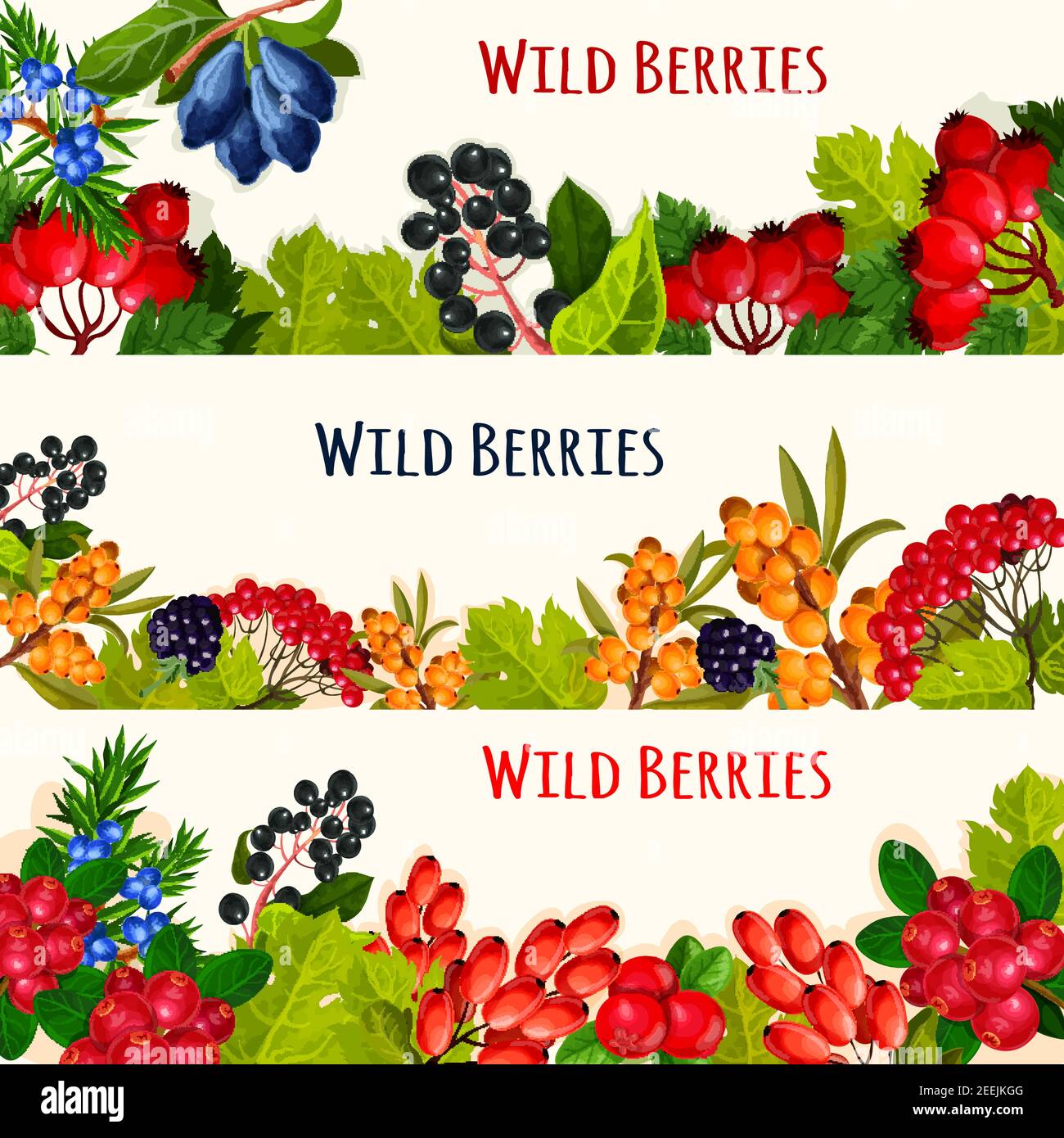 Cartoon bird cherry berry Stock Vector Images - Alamy