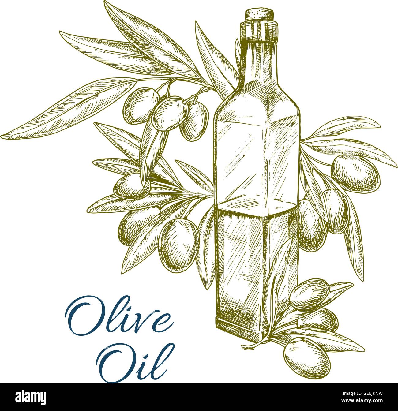 Olive oil vector sketch of green olives and olive-tree branch with oil ...