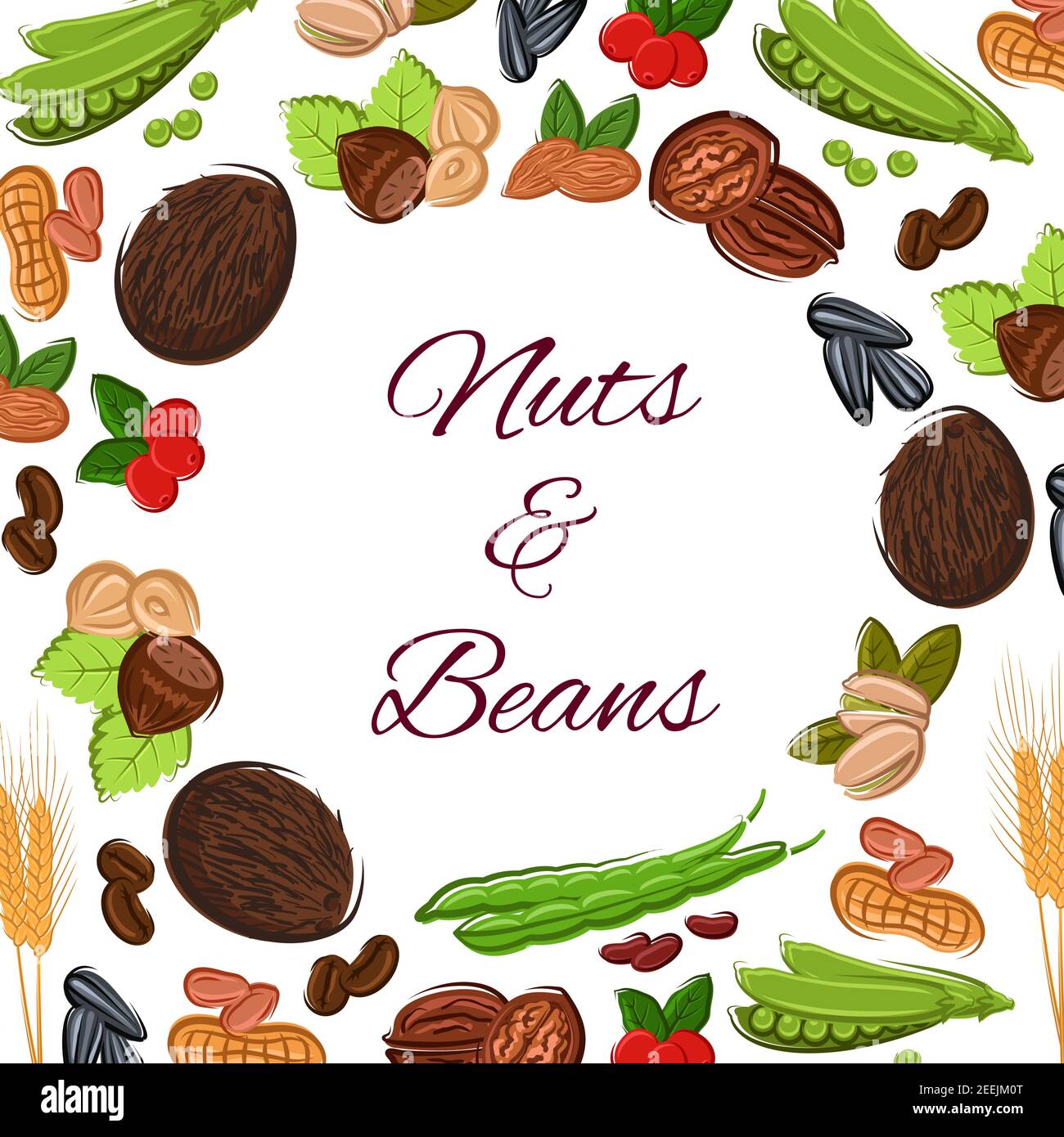 Grain Legume Stock Vector Images - Alamy