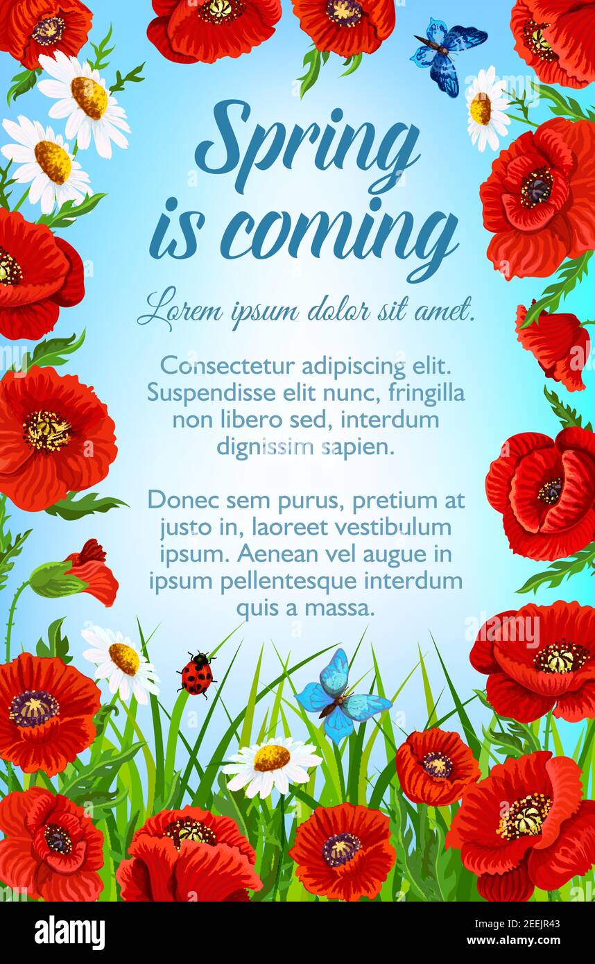 Spring is coming poster for springtime holiday time. Vector design of ...