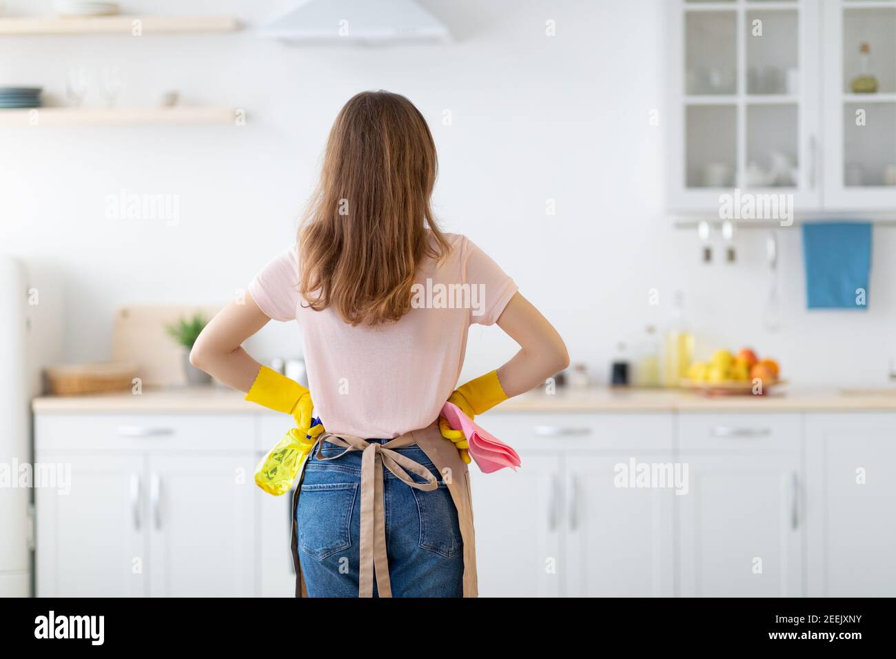 Back view of millennial housewife with detergent and rag ready to start ...