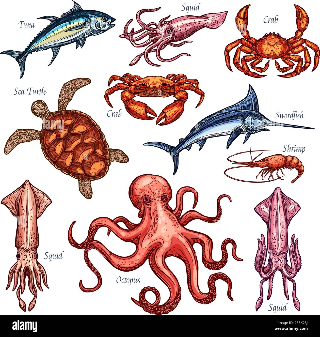 Seafood and fish icons set of tuna, squid or lobster crab and sea ...