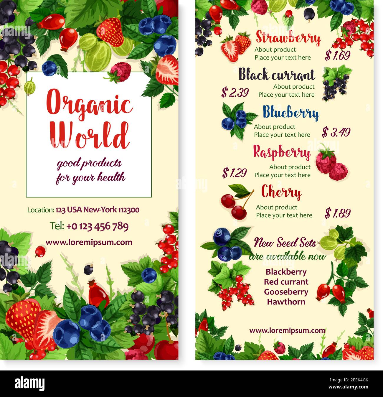 Mulberry b Stock Vector Images - Alamy