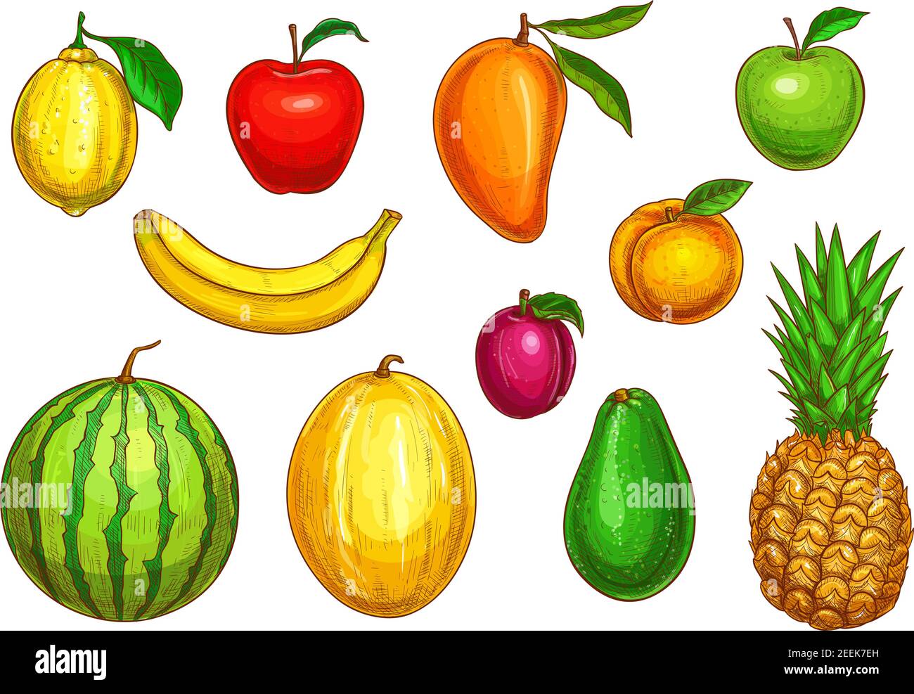 Apricot lime Stock Vector Images - Alamy