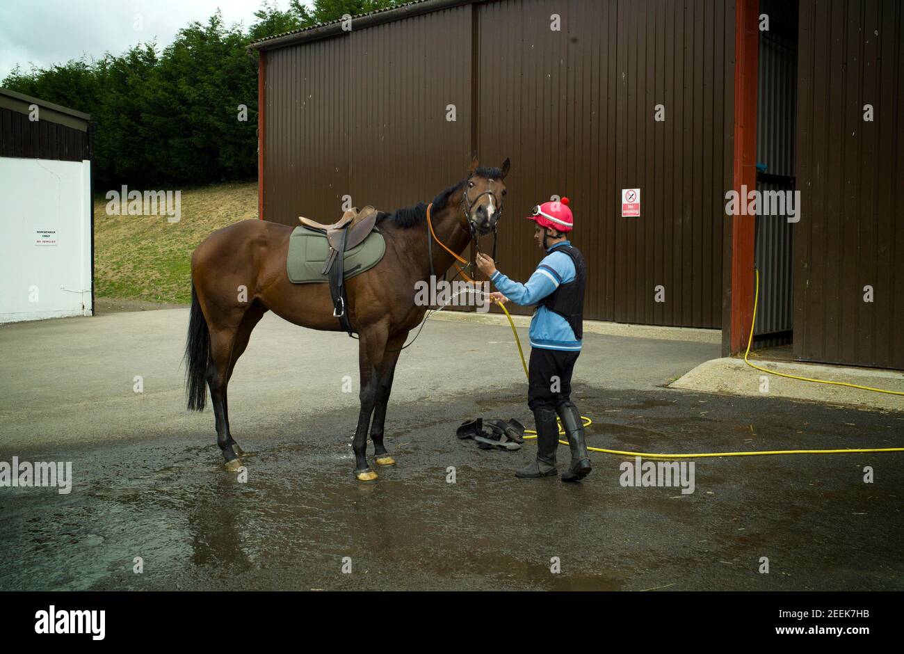 Amanda Temple High Resolution Stock Photography and Images - Alamy