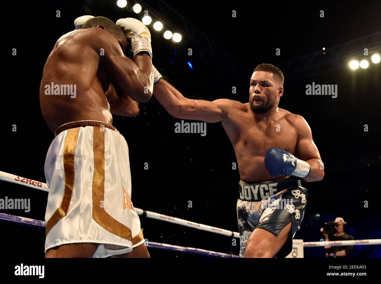 Joyce bryant hi-res stock photography and images - Alamy