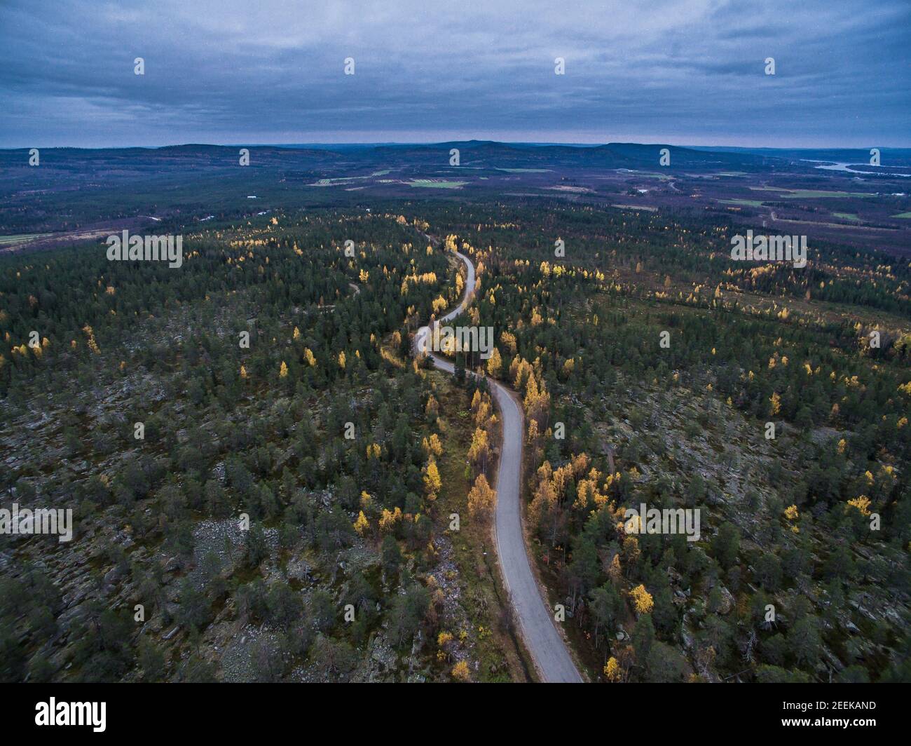 Birds-eye view of a road in a forest Stock Photo - Alamy