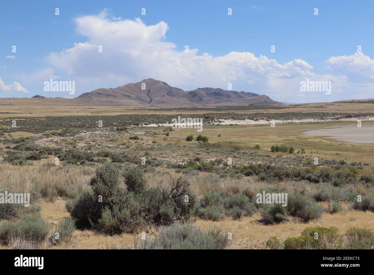 Rural landscape with a mountain in the background in Utah, the USA ...