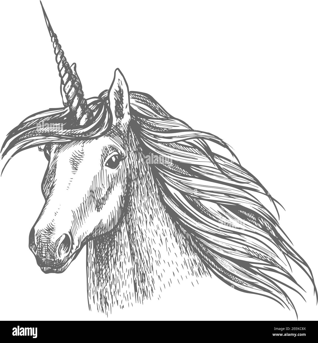 Unicorn horse head sketch. Magic horse with twisted horn. Fantastic ...
