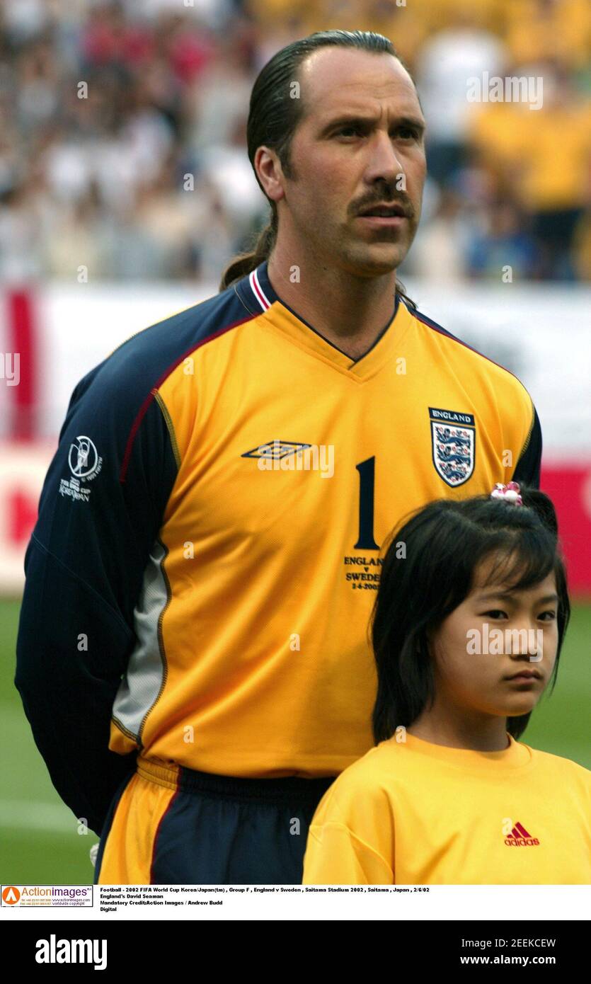 David seaman 2002 hi-res stock photography and images - Alamy