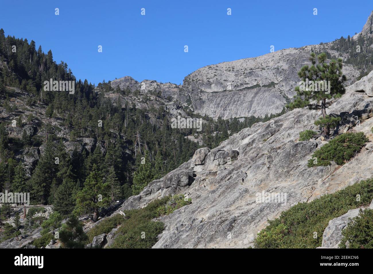 Gorgeous mountain landscape with gray granite rock and dark green ...