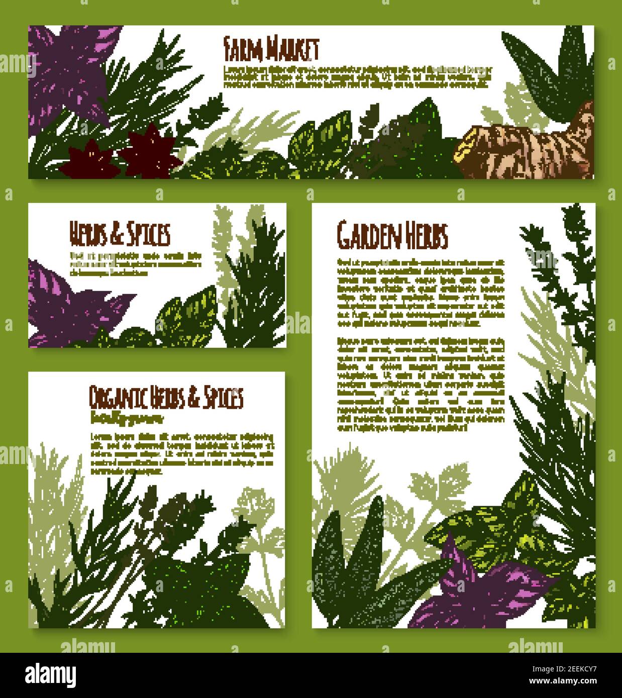 Spices and herbs vector posters and banners templates for herbal ...